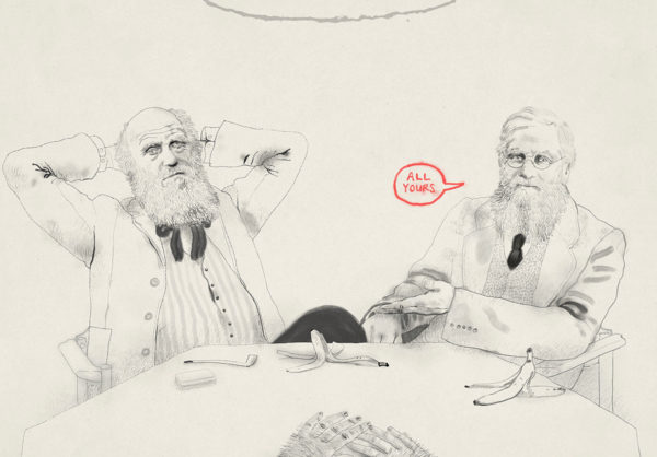 Double portrait of Charles Darwin and Alfred Russel Wallace. | Skillmill